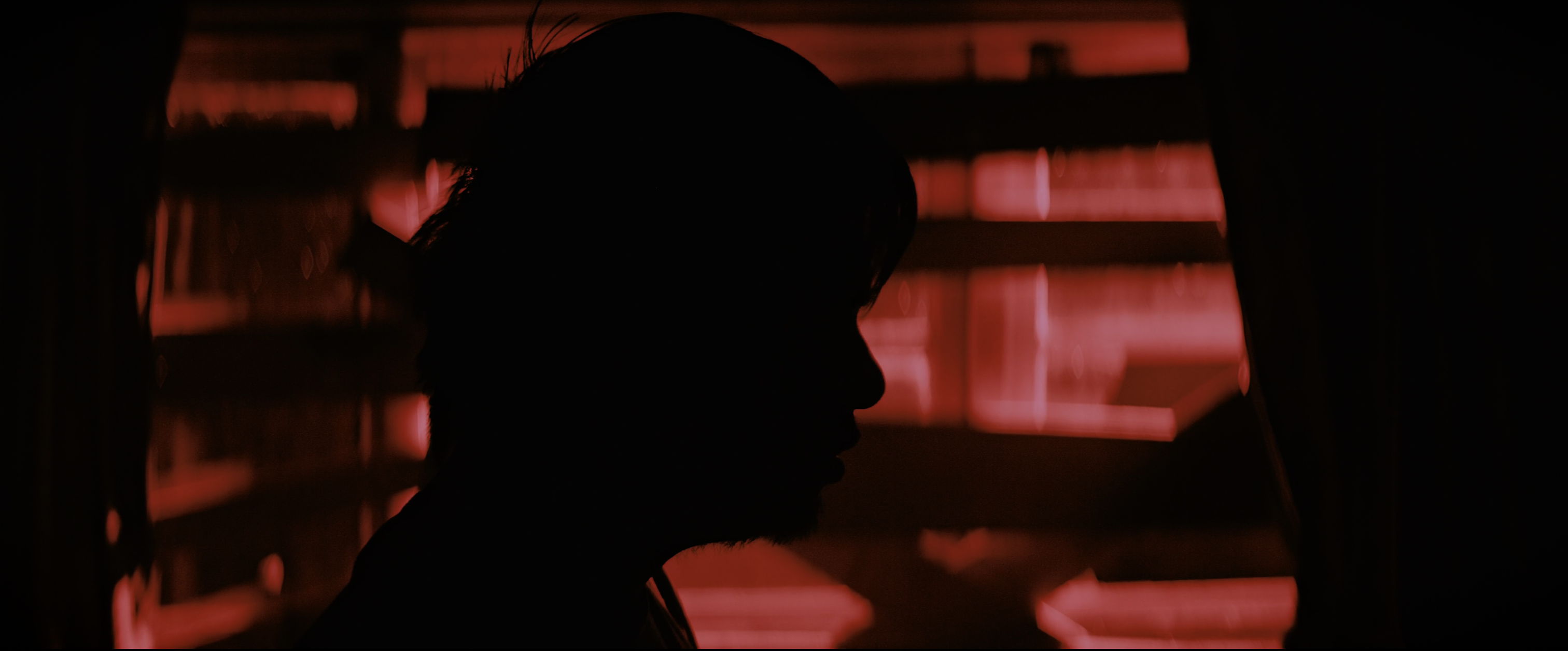 Arct'4 Film